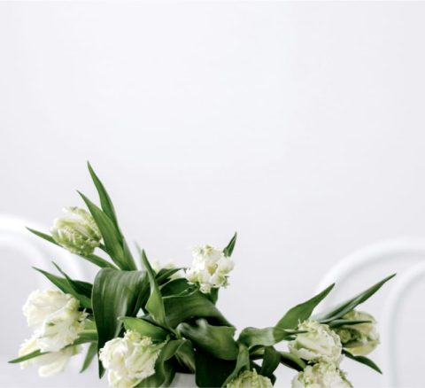 Home - Ericka Andersen, Writing Coach